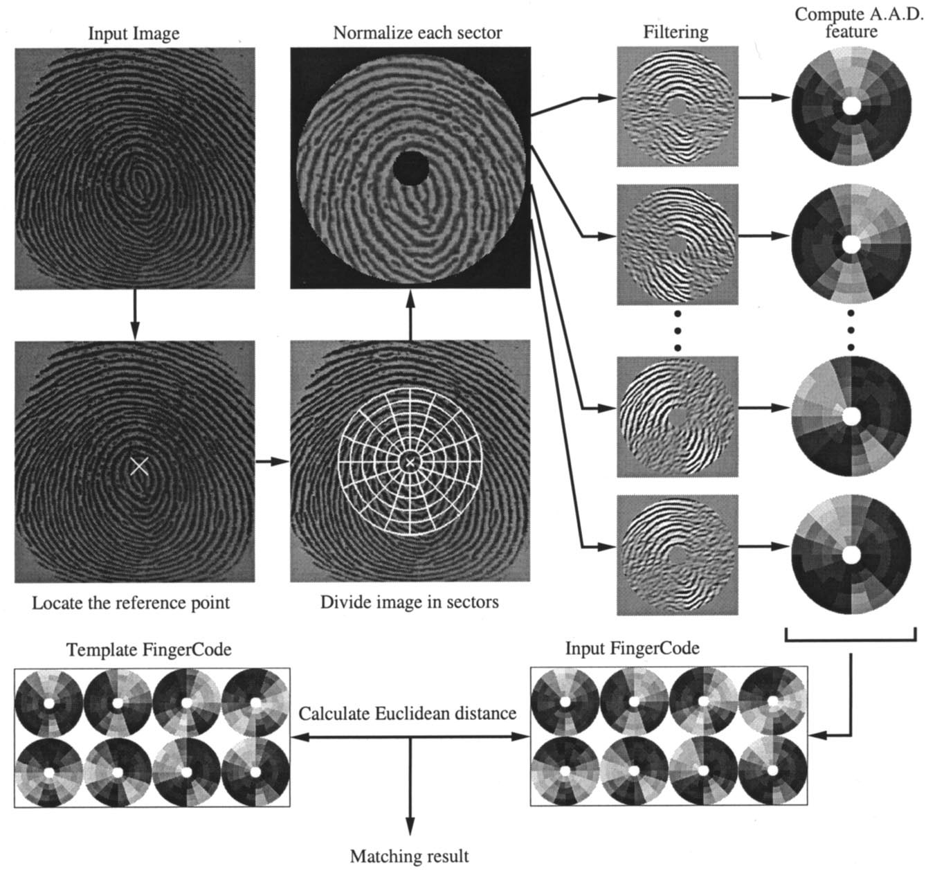 FingerCode | SporeG's Blog